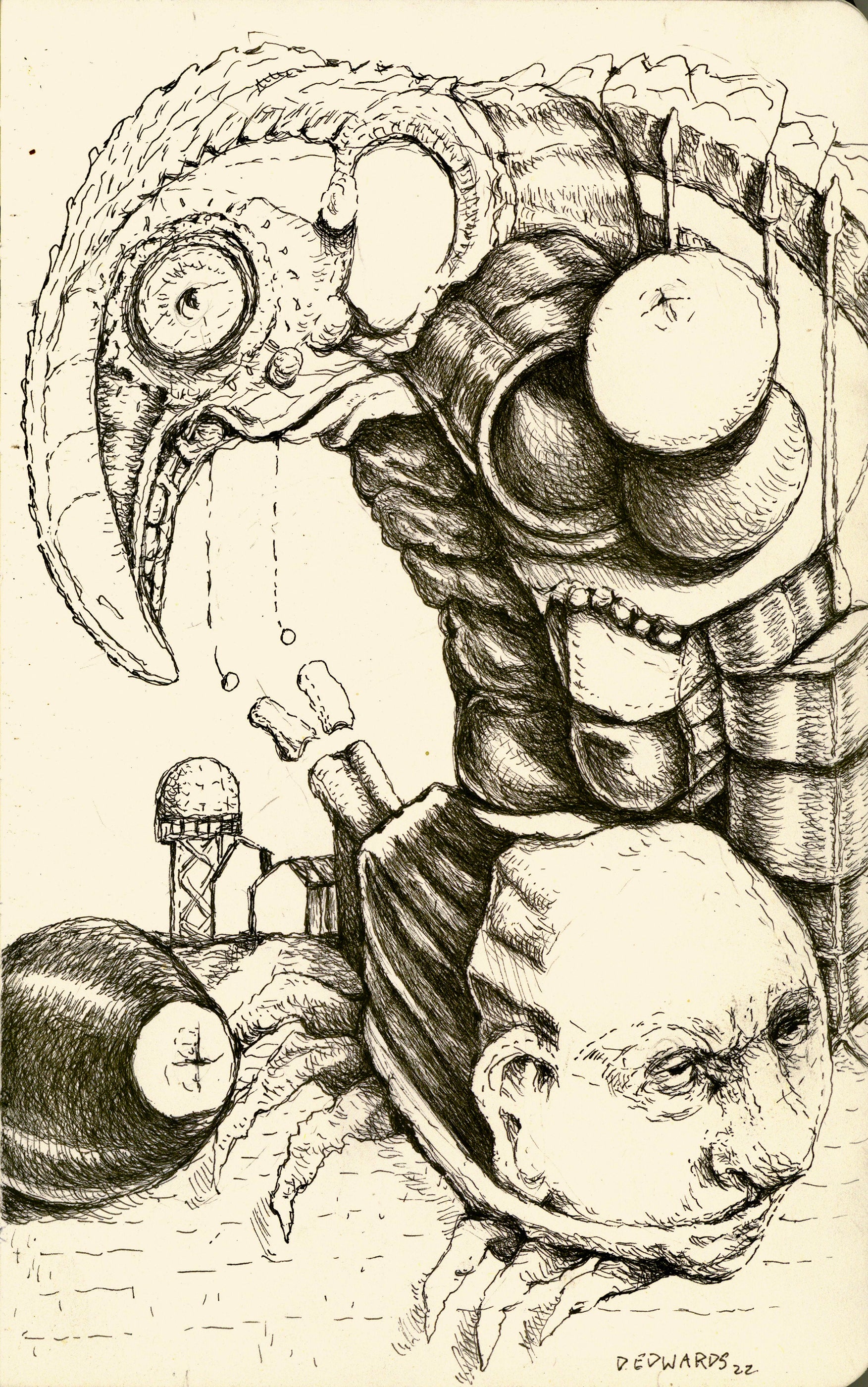 Hunt and Peck by Doug Edwards – KALEID Gallery